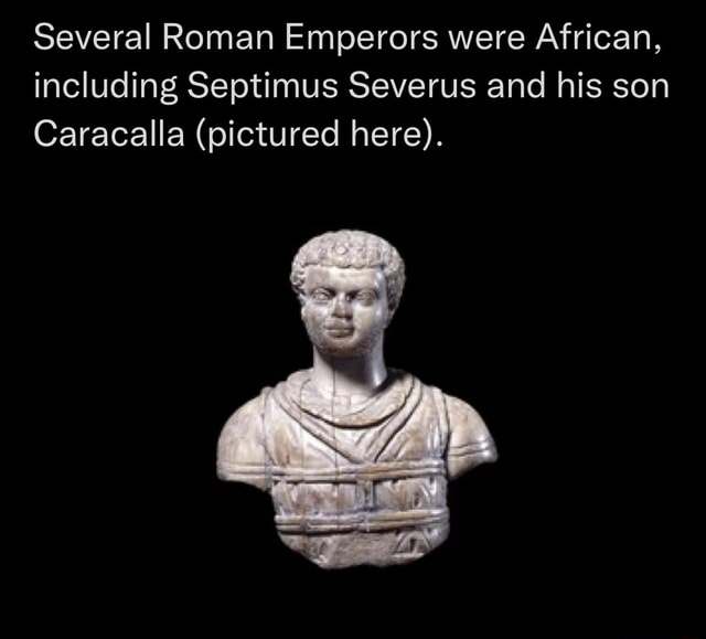 Several Roman Emperors were African, including Septimus Severus and his ...
