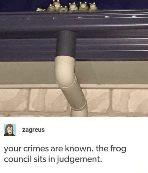 Rel Zagreus your crimes are known. the frog council sits in judgement ...