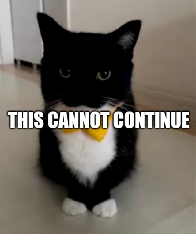 THIS CANNOT CONTINUE - iFunny Brazil