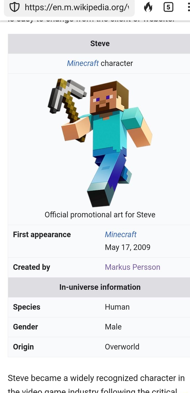 Steve Minecraft character Official promotional art for Steve First ...