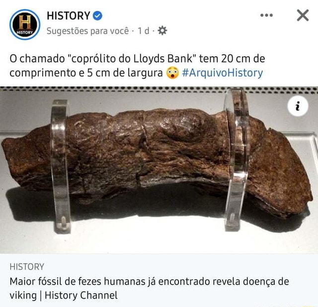 HISTORY Sugestões para você - O chamado "coprólito do Lloyds Bank" tem ...