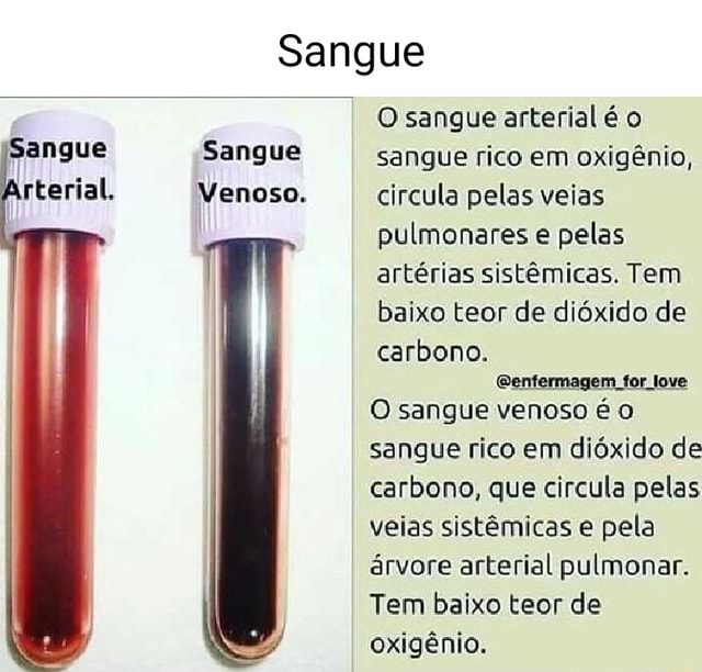 Sangue Sangue Sangue Venoso. I O sangue arterial é o sangue rico em ...