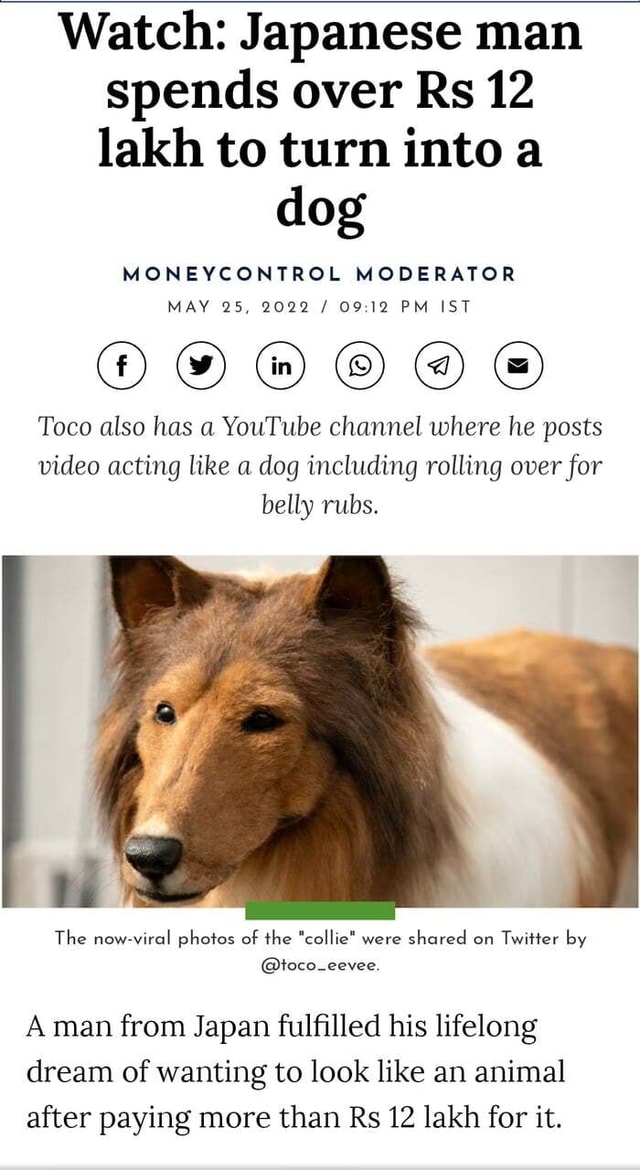 Watch: Japanese man spends over Rs 12 lakh to turn into a dog ... Watch: Japanese man spends over Rs 12 lakh to turn into a dog ...