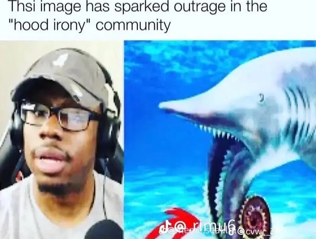 'INsi image has sparked outrage IN the "hood irony" community I ...