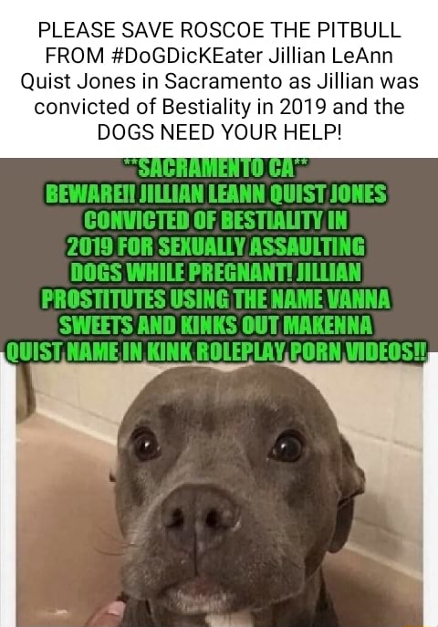 PLEASE SAVE ROSCOE THE PITBULL FROM #DoGDickEater Jillian LeAnn Quist ...