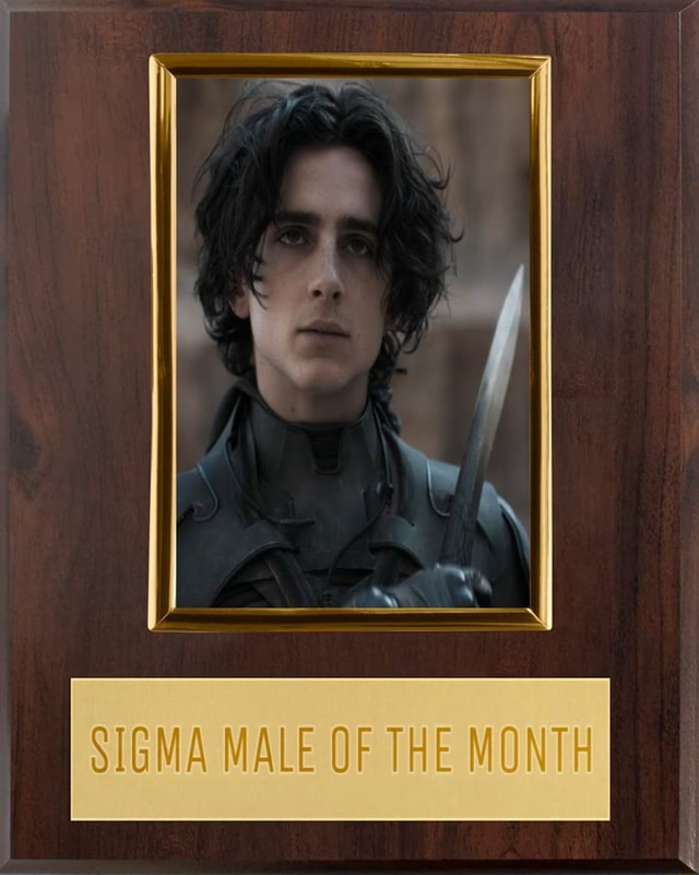 SIGMA MALE DE TRE - iFunny Brazil
