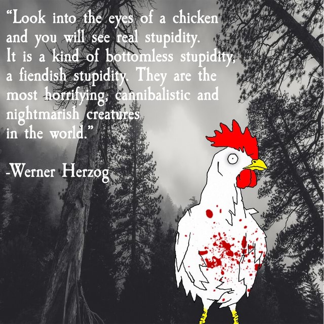 Werner Herzog on chickens - "Look into the eyes of a chicken and you ...