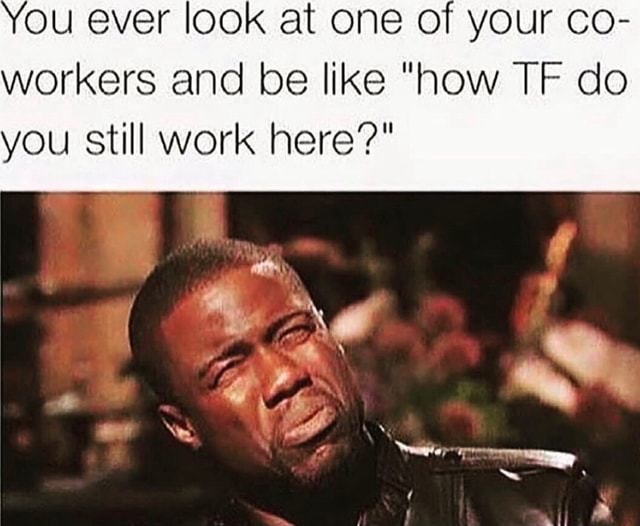 You ever look at one of your Co- workers and be like "how TF do you ...