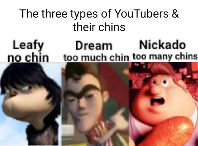 The three types of YouTubers & their chins Leafy Dream Nickado in too ...