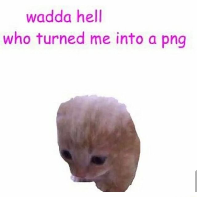 Wadda hell who turned me into a png - iFunny Brazil