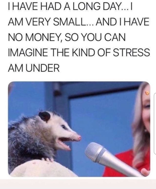 I HAVE HAD A LONG DAY...I AM VERY SMALL... AND I HAVE NO MONEY, SO YOU ...