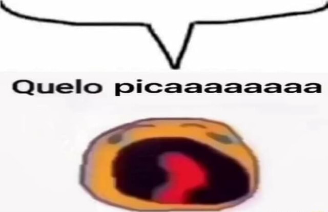 Quelo picaaaaaaaa - iFunny Brazil