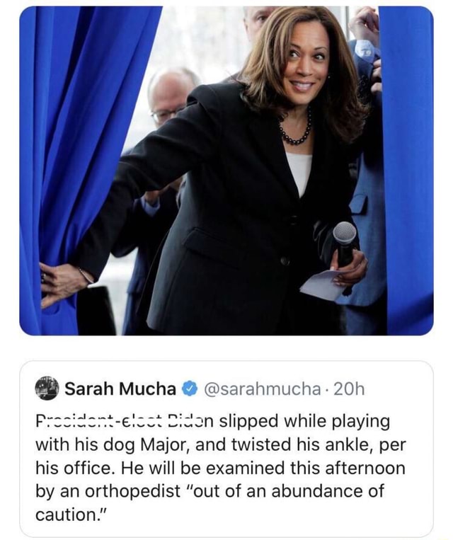 Sarah Mucha @sarahmucha: with his dog Major, and twisted his ankle, per ...