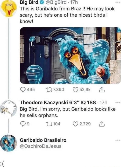 Big Bird This is Garibaido from Brazil! He may look scary, but he's one ...