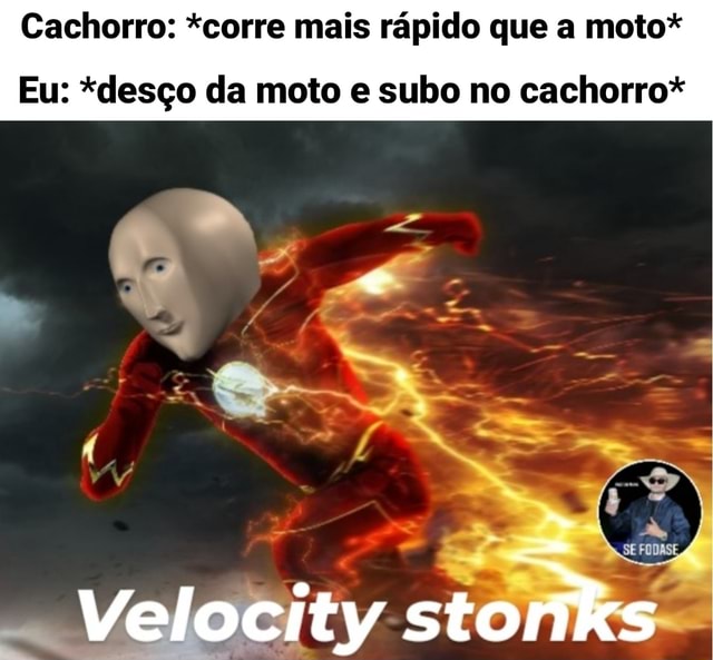 Cachorro: *corre mais rápido que a moto* Eu: *desço da moto e subo no ...