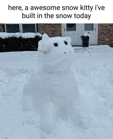 Here, a awesome snow kitty i've built in the snow today - iFunny Brazil