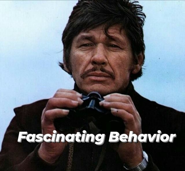 Fascinating Behavior - iFunny Brazil