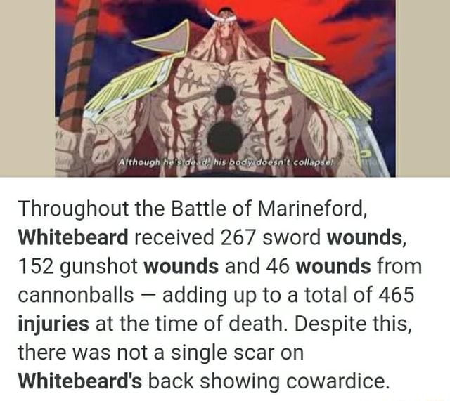 Throughout the Battle of Marineford, Whitebeard received 267 sword ...