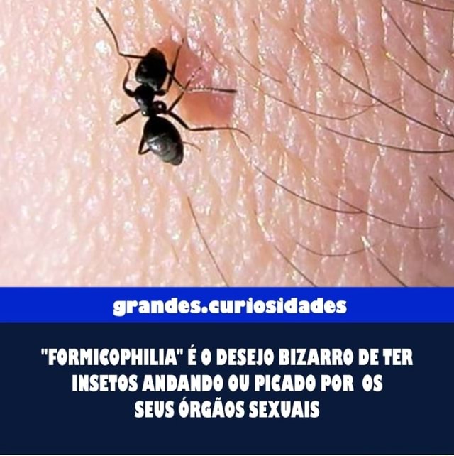 Gramdes "FORMICOPHILIA" É O DESEJO BIZARRO DE TER INSETOS ANDANDO OU ...