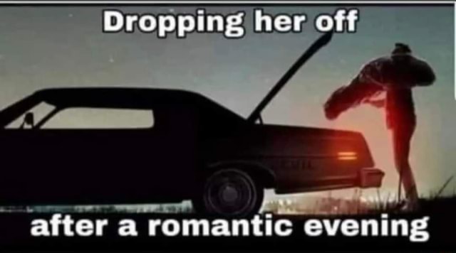 Dropping her off OM after a romantic evening - iFunny Brazil