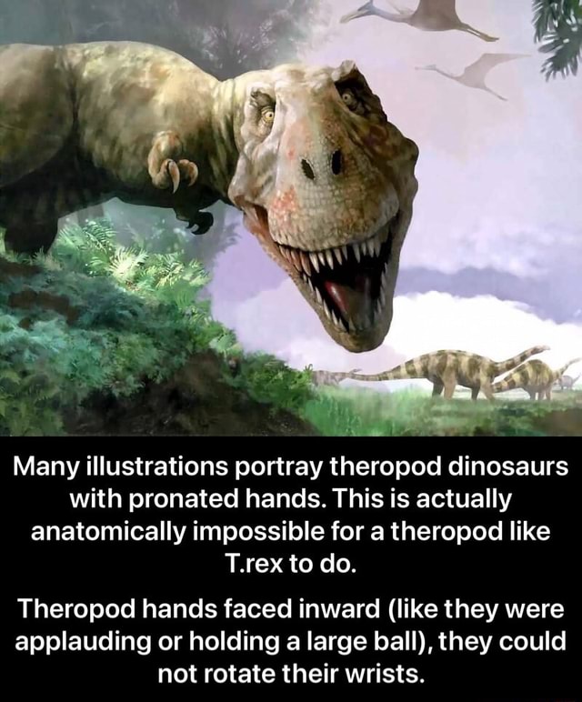 Many illustrations portray theropod dinosaurs with pronated hands. This ...