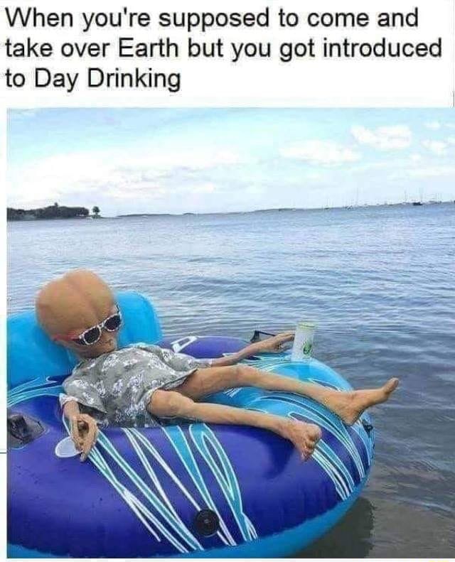 Day Drinking Meme
