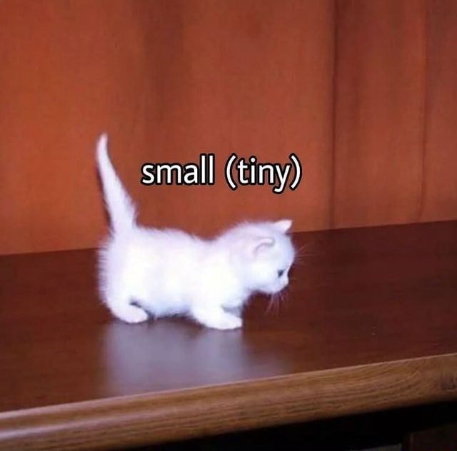 Small Tiny Rig Ifunny Brazil