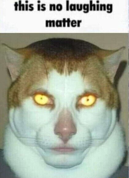 This is no laughing matter - iFunny Brazil