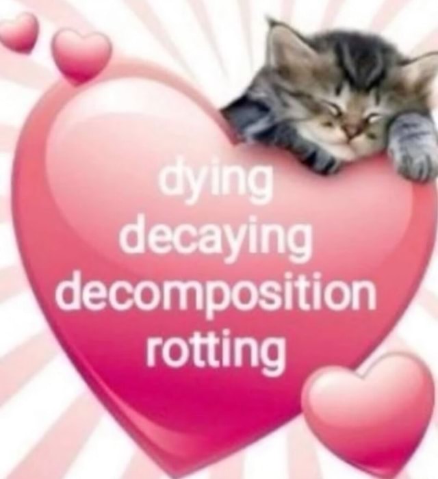 Dying decomposition rotting - iFunny Brazil