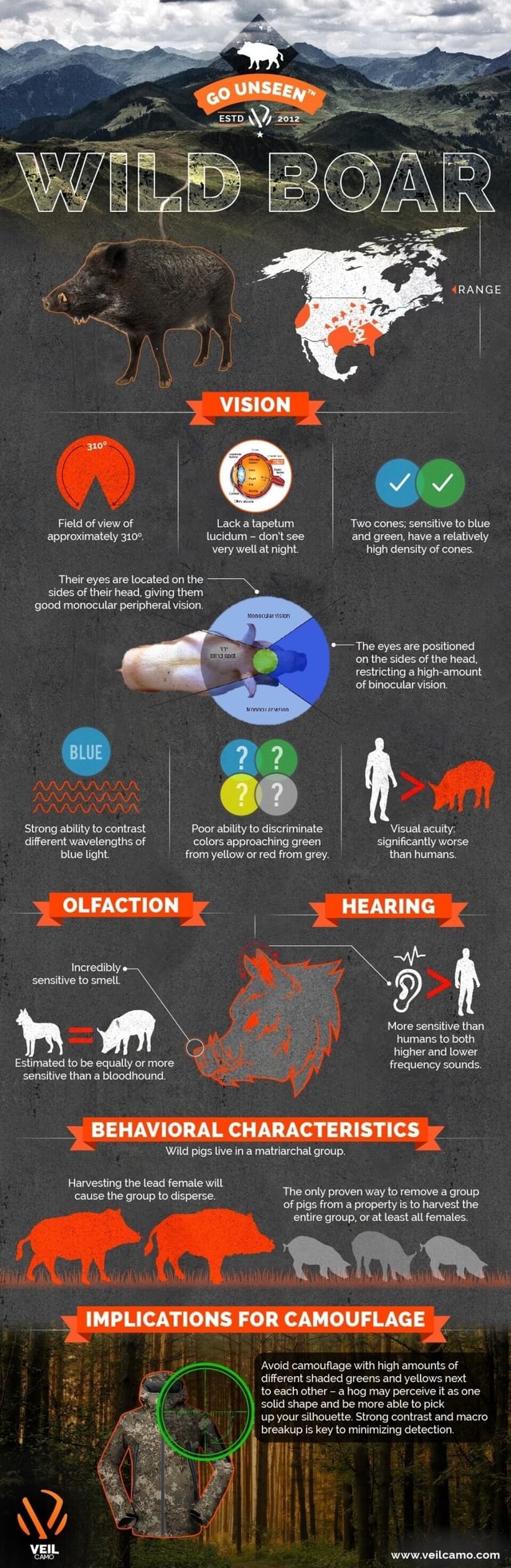 UNSER ESTD WILD BOAR "RANGE VISION Field of view of Lack a tapetum Two ...