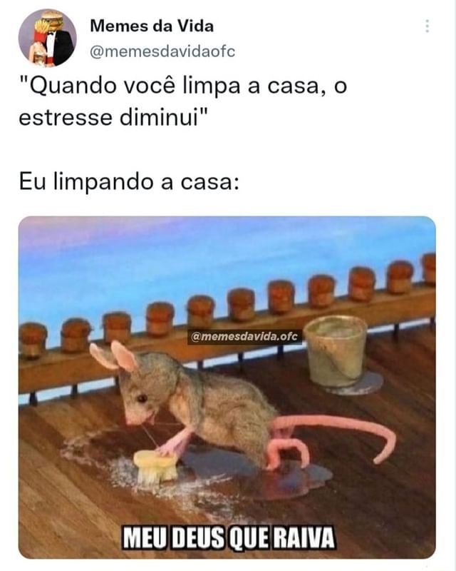 Memes da Vida (Qmemesdavidaofe "Quando você limpa a casa, o estresse ...