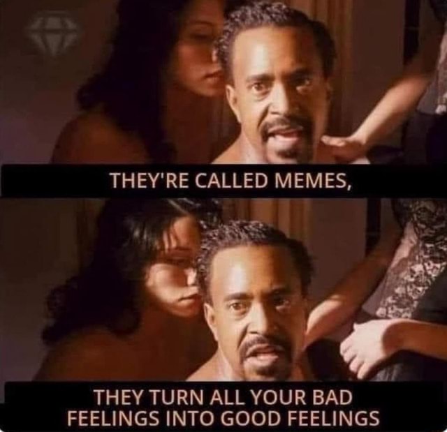 Sa THEY'RE CALLED MEMES, THEY TURN ALL YOUR BAD FEELINGS INTO GOOD ...