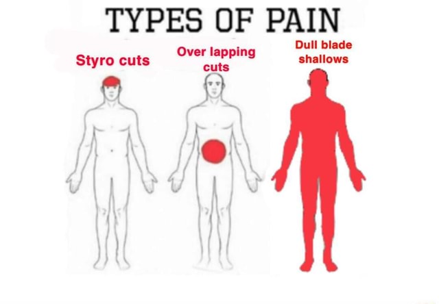 TYPES OF PAIN Dull blade shallows Styro cuts Over - iFunny Brazil