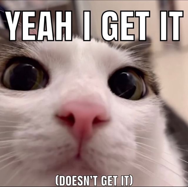 YEAH I GET IT (DOESN'T GET IT) - iFunny Brazil