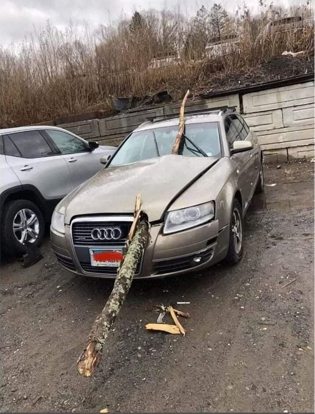 Memes de imagem ZU1U0LPsA por Gato_Azul - iFunny Brazil