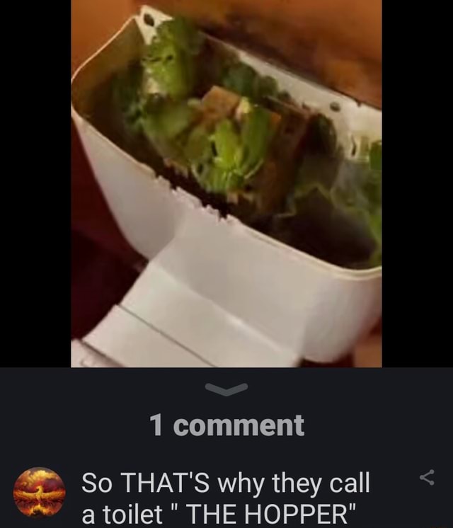 Comment So THAT'S why they call toilet " THE HOPPER" - iFunny Brazil