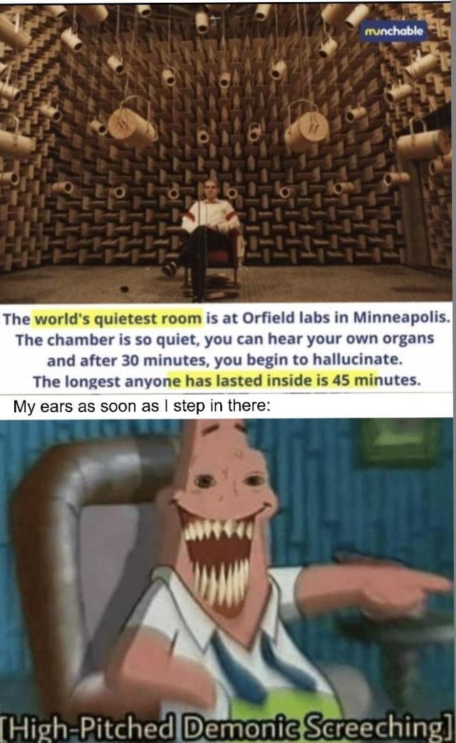The world's quietest room is at Orfield labs in Minneapolis. The ...