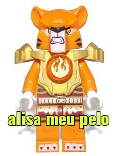 Alisa meu pelo versão lego Chima #chima#lego#meme#brasil - iFunny Brazil