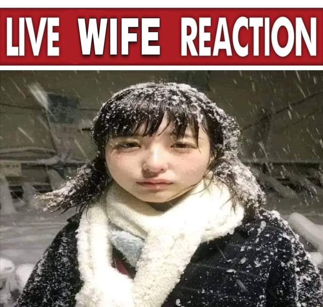 LIVE WIFE REACTION - iFunny Brazil