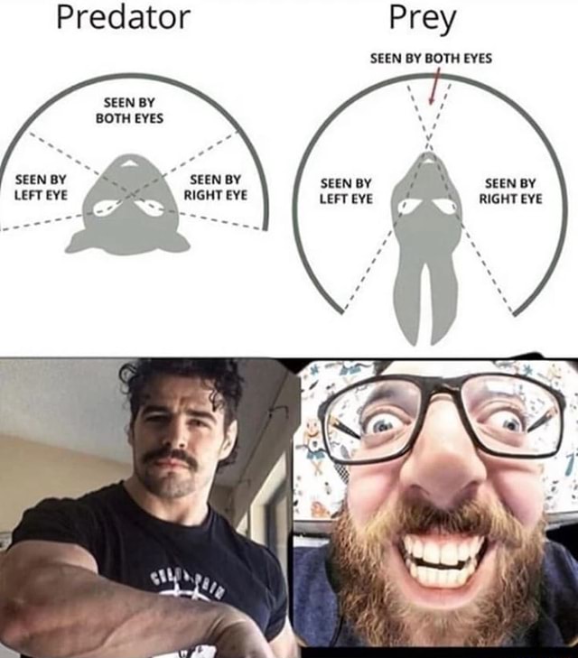Predator Prey SEEN BY BOTH EYES SEEN BY BOTH EYES SEEN BY LEFT EYE SEEN ...
