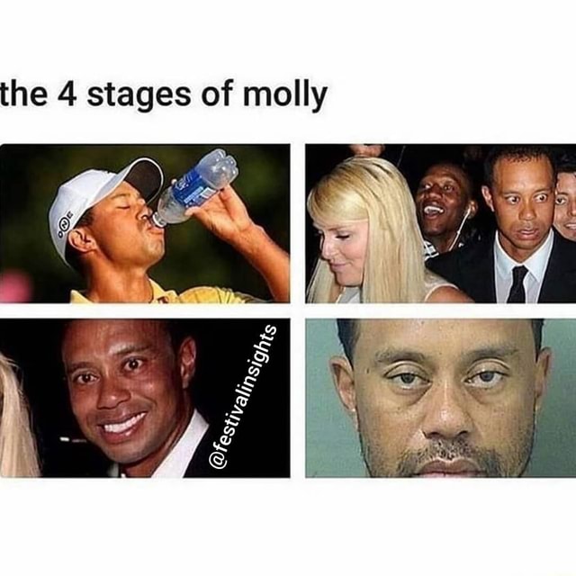 The 4 stages of molly - iFunny Brazil