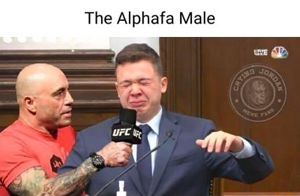 The Alphafa Male - iFunny Brazil