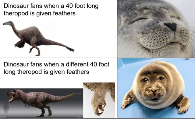 Dinosaur fans when a 40 foot long theropod is given feathers Dinosaur ...
