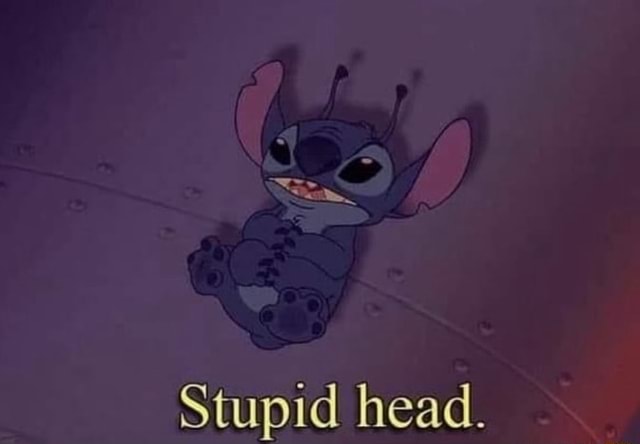 Stupid head. - iFunny Brazil