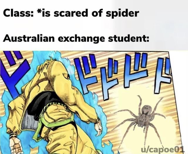 Class: *is scared of spider Australian exchange student: - iFunny Brazil