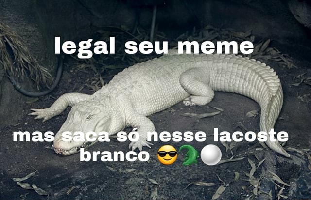 Legal seu meme mas saca só nesse lacoste branco - iFunny Brazil