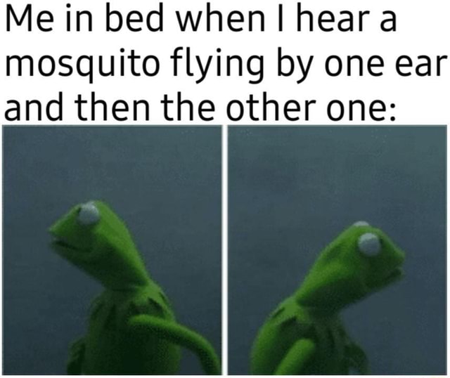 Me in bed when I hear a mosquito flying by one ear and then the other ...