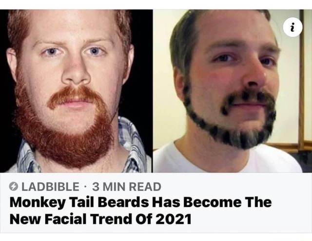 LADBIBLE - 3 MIN READ Monkey Tail Beards Has Become The New Facial ...