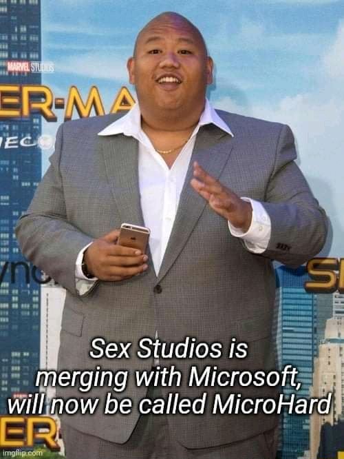 Sex Studios is merging with Microsoft, will now be called MicroHard ...
