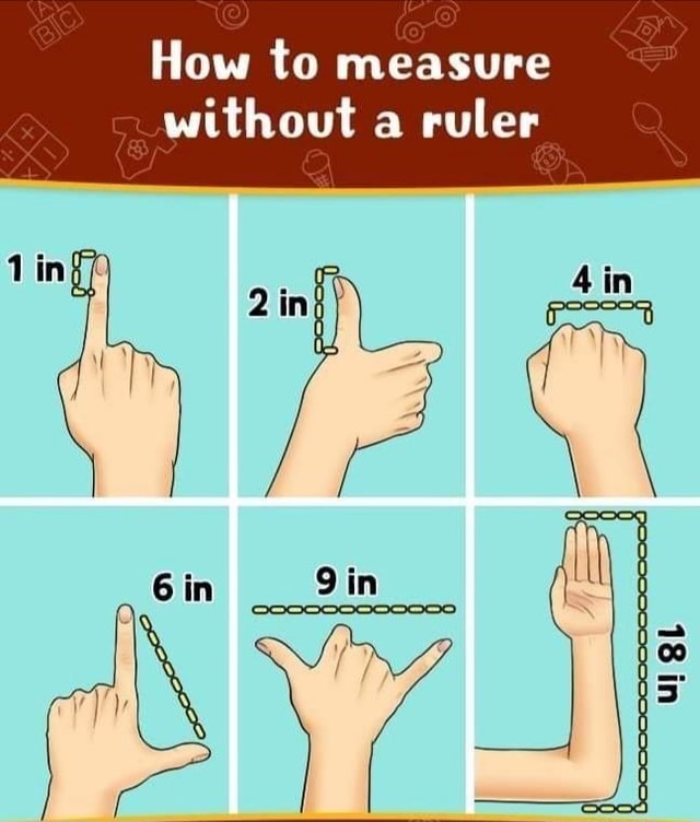 How to measure without a ruler - iFunny Brazil